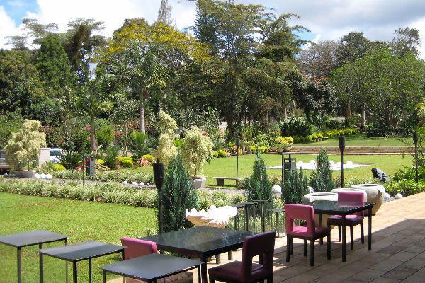 Zen Garden – IN NAIROBI