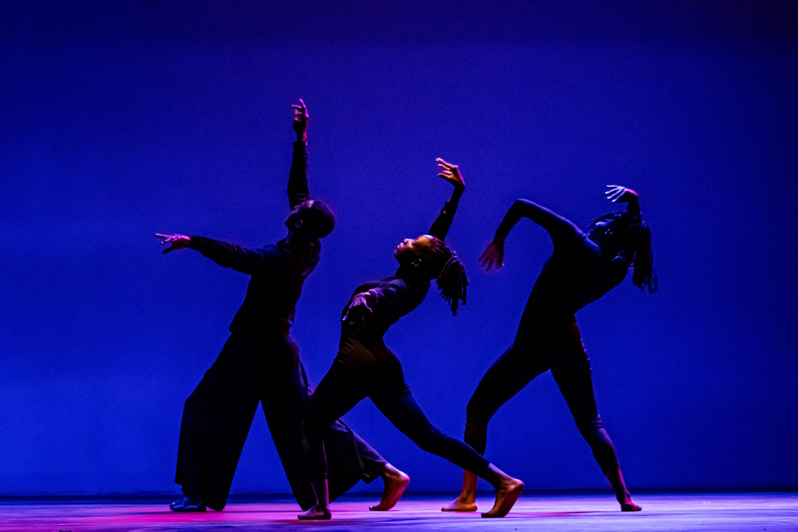 Dance Life Festival 2025 - The Movement You Don't Want to Miss - IN NAIROBI